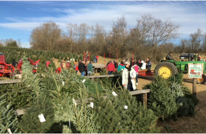 ANR Tree Farm Home Page